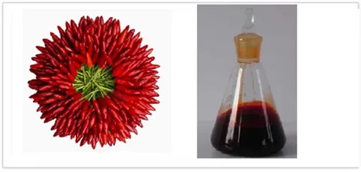 Oleoresin Capsicum, Capsicum Extract, Capsaicin Oleoresin, Paprika ...