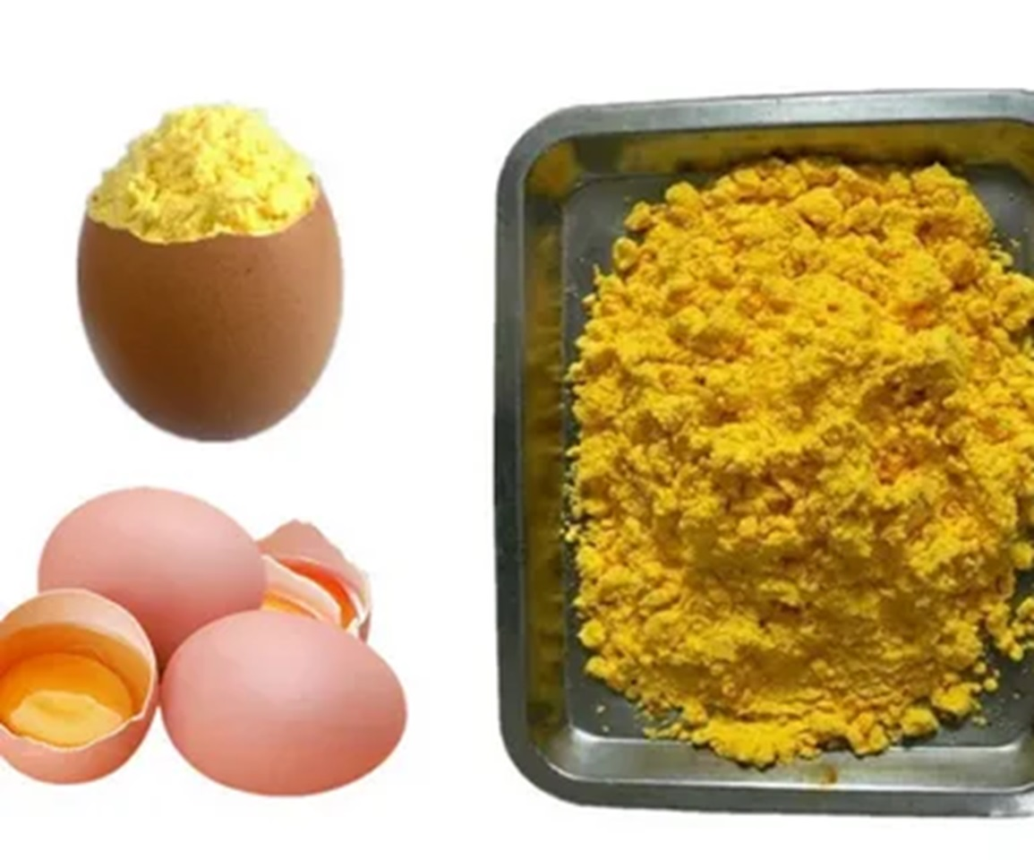 Egg yolk lecithins, Egg Yolk Powder, 93685-90-6